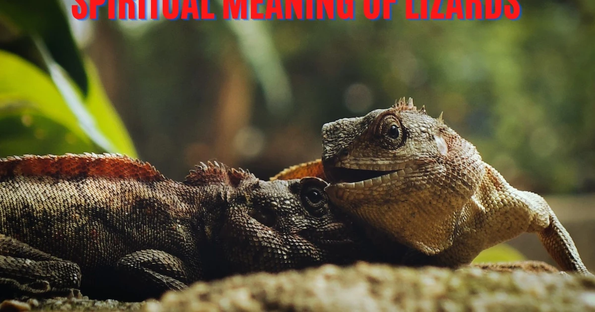 What Is The Spiritual Meaning Of Lizards And Their Symbolism Around The ...
