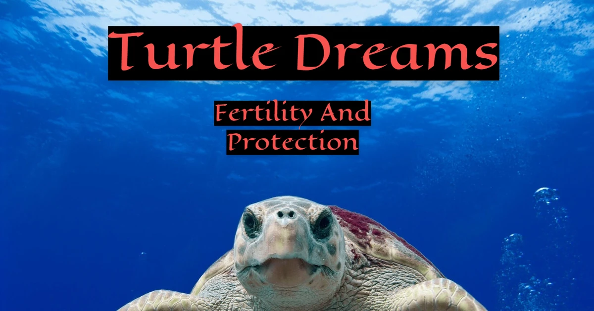 What Do Turtle Dreams Foretell?