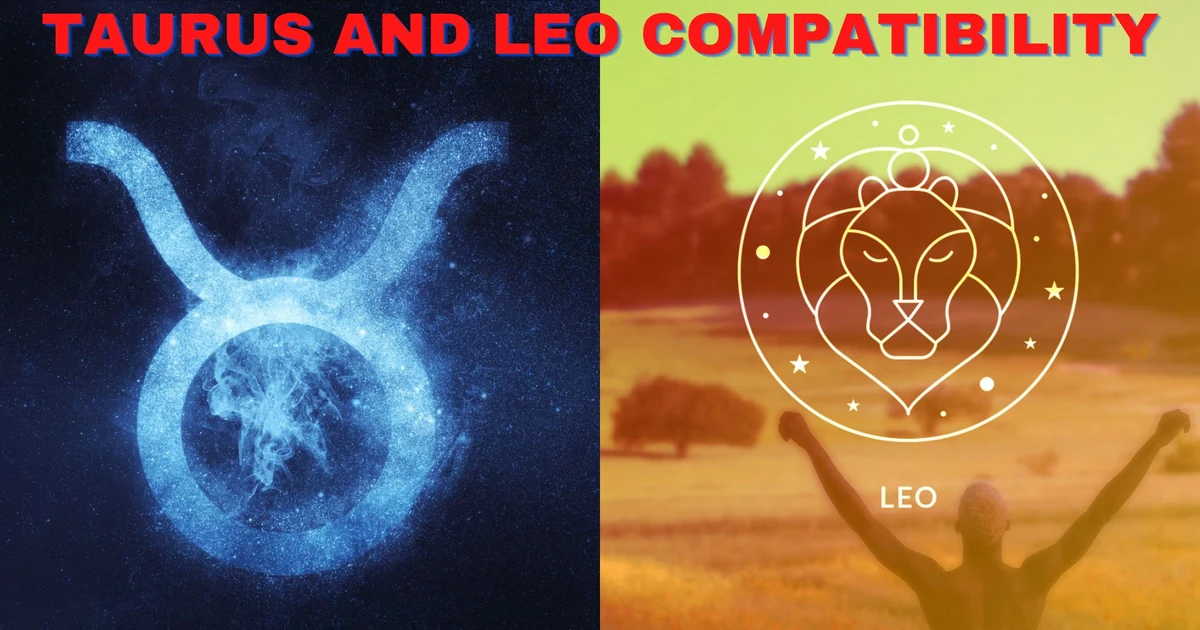 What Defines The Taurus And Leo Compatibility Dynamic?