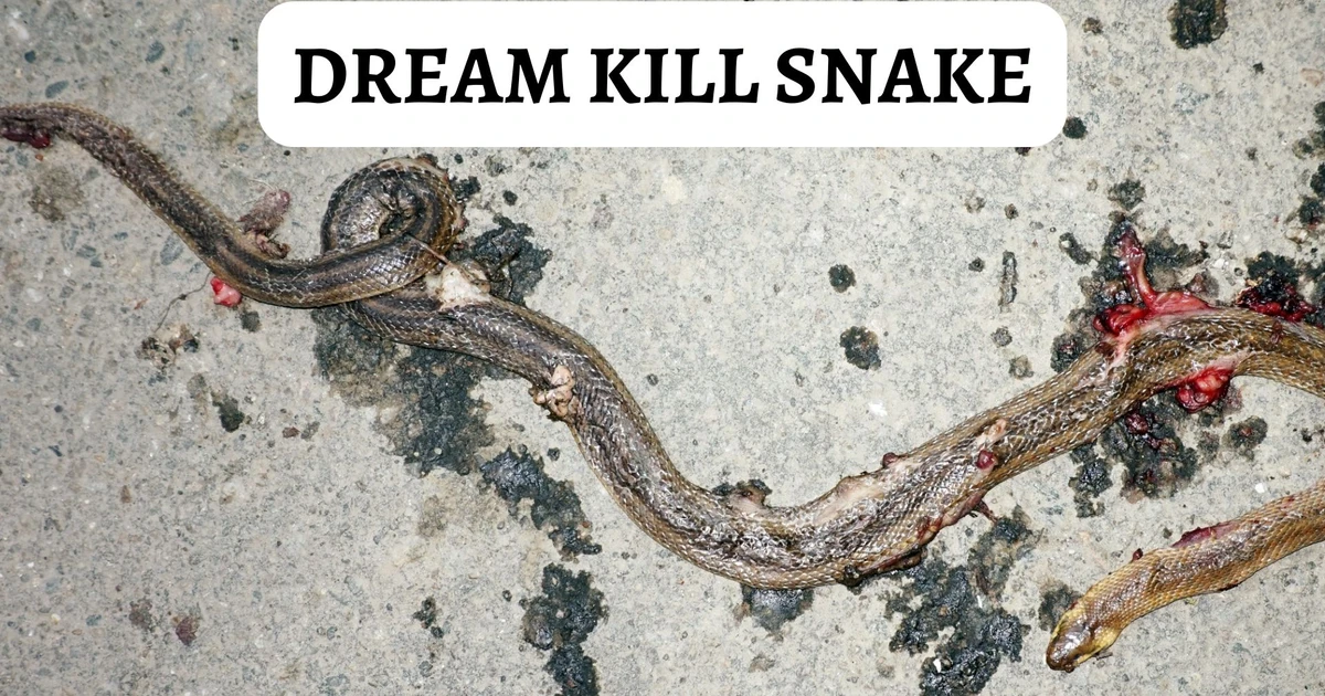 How Does Encountering A Dream Kill Snake Impact Your Subconscious Mind?
