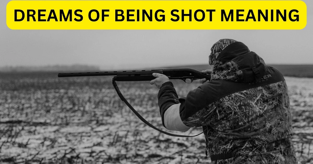 How Can Dreams Of Being Shot Meaning Provide Insights Into Your ...