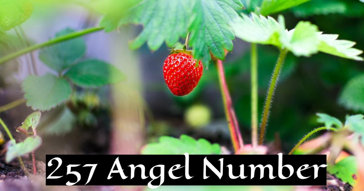 What Does The Recurrence Of The 257 Angel Number Signify?
