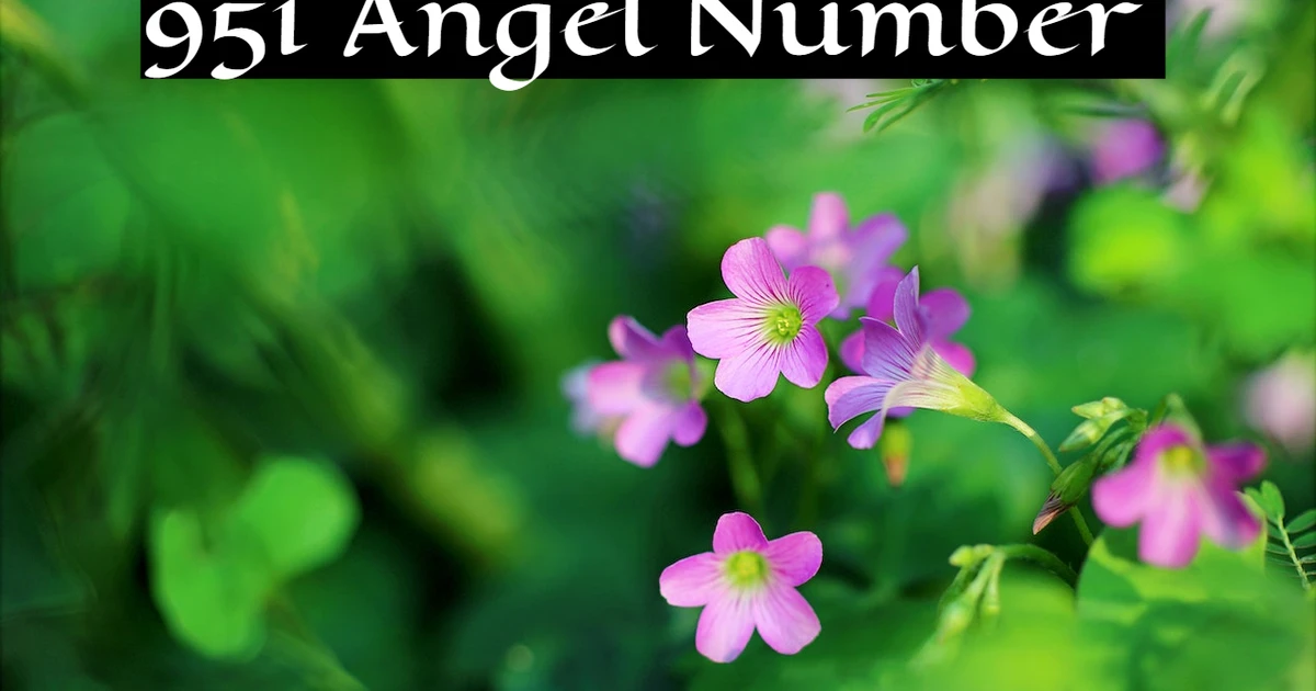 How Can You Decode 951 Angel Number's Message?