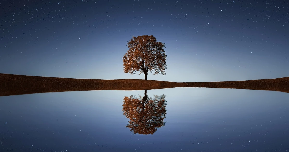 How Can Understanding 316 Angel Number Impact You?