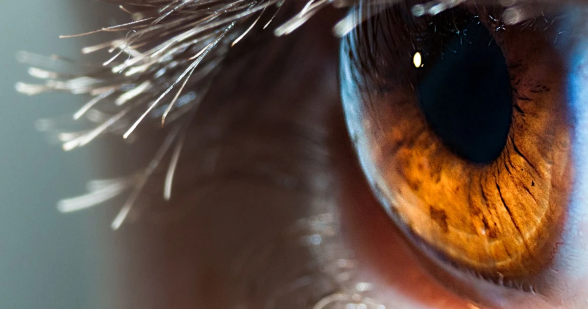 How Are Sanpaku Eyes Related To Health And Well-Being?