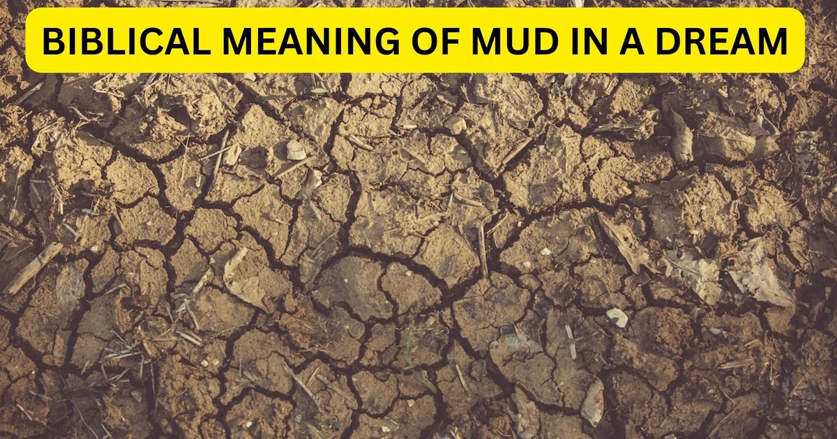 Can The Biblical Meaning Of Mud In A Dream Offer Insights Into Our ...