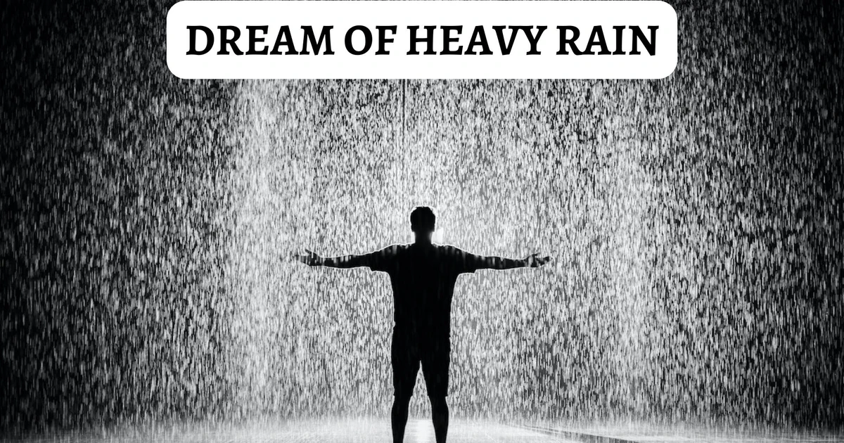 What Does The Dream Of Heavy Rain Signify?