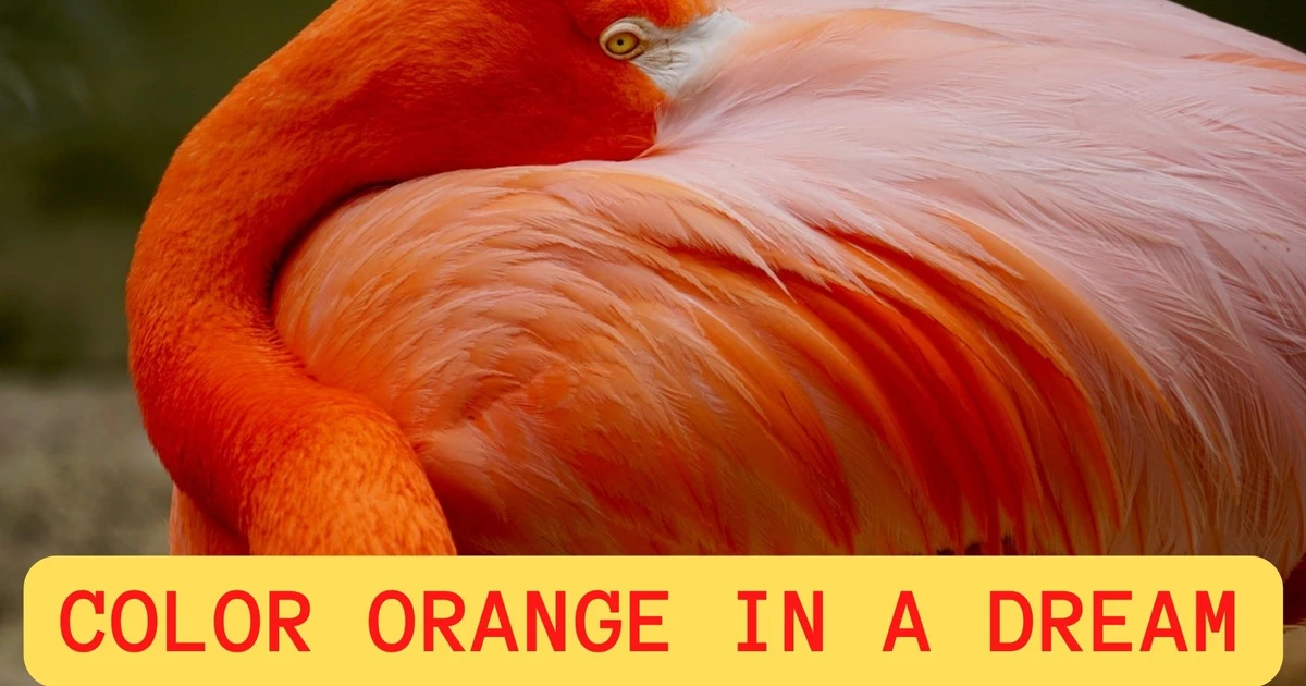 What Does The Presence Of Color Orange In A Dream Signify?