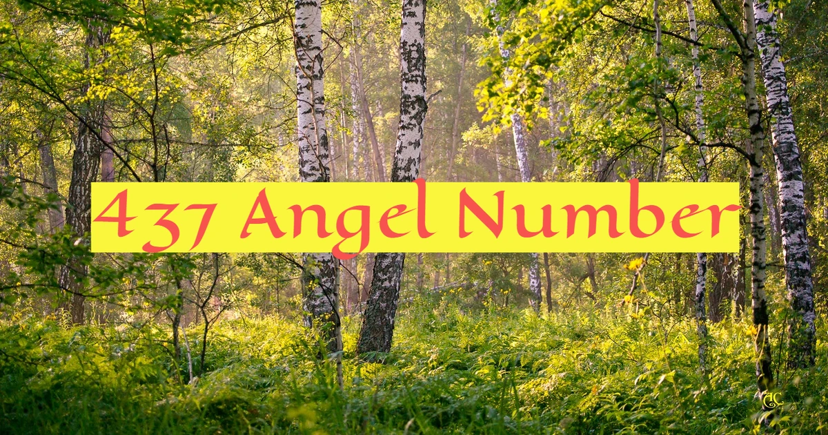 How Can The 437 Angel Number Influence Your Spiritual Journey?
