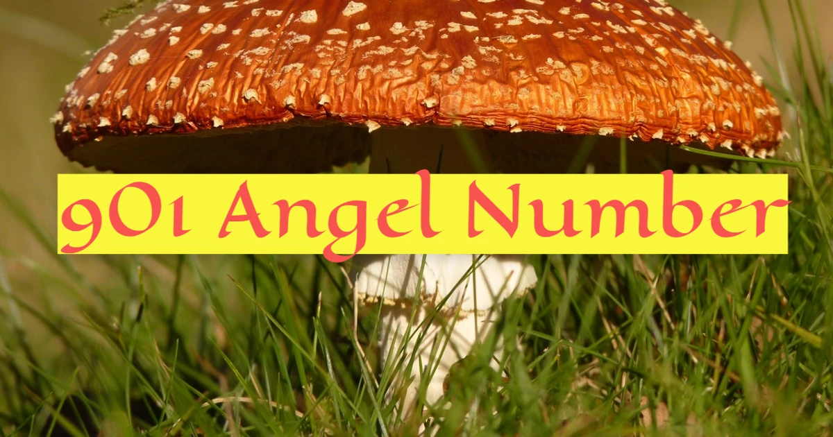 What Symbolism Does The 901 Angel Number Hold?