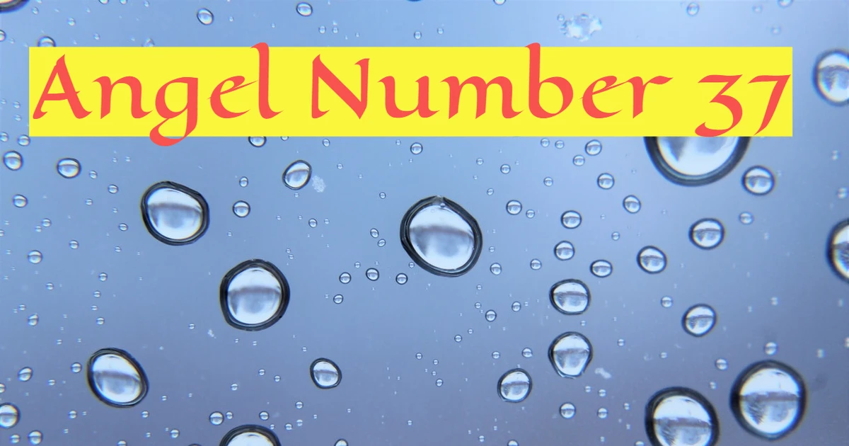 What Does Angel Number 37 Mean For Your Life Path?