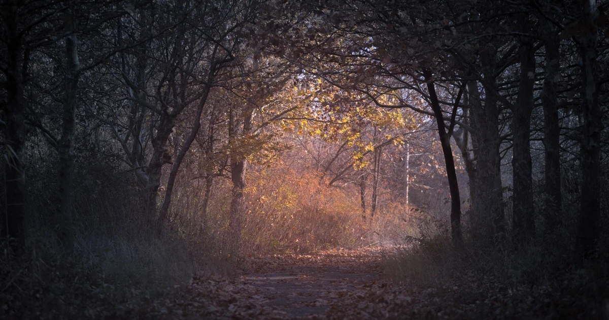 What Significance Does Life Path 7 And 3 Compatibility Hold?