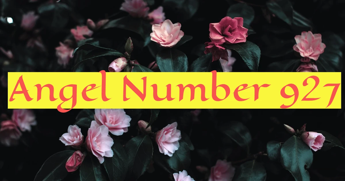 How Can Angel Number 927 Guide You In Life's Decisions?