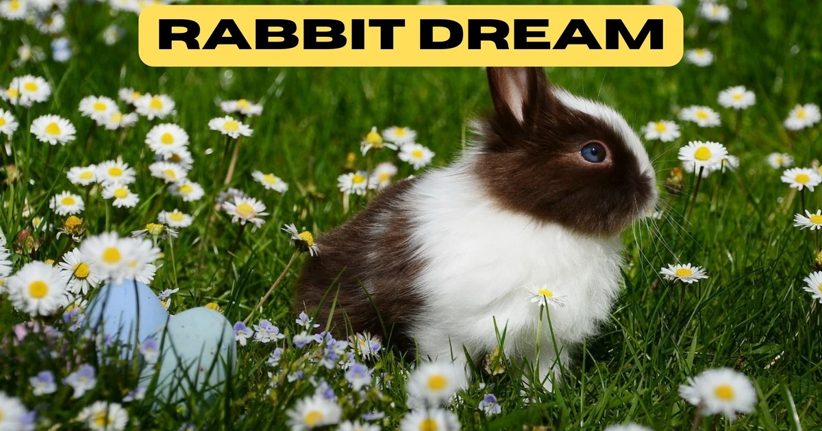How Does A Rabbit Dream Connect To Spiritual Insights?