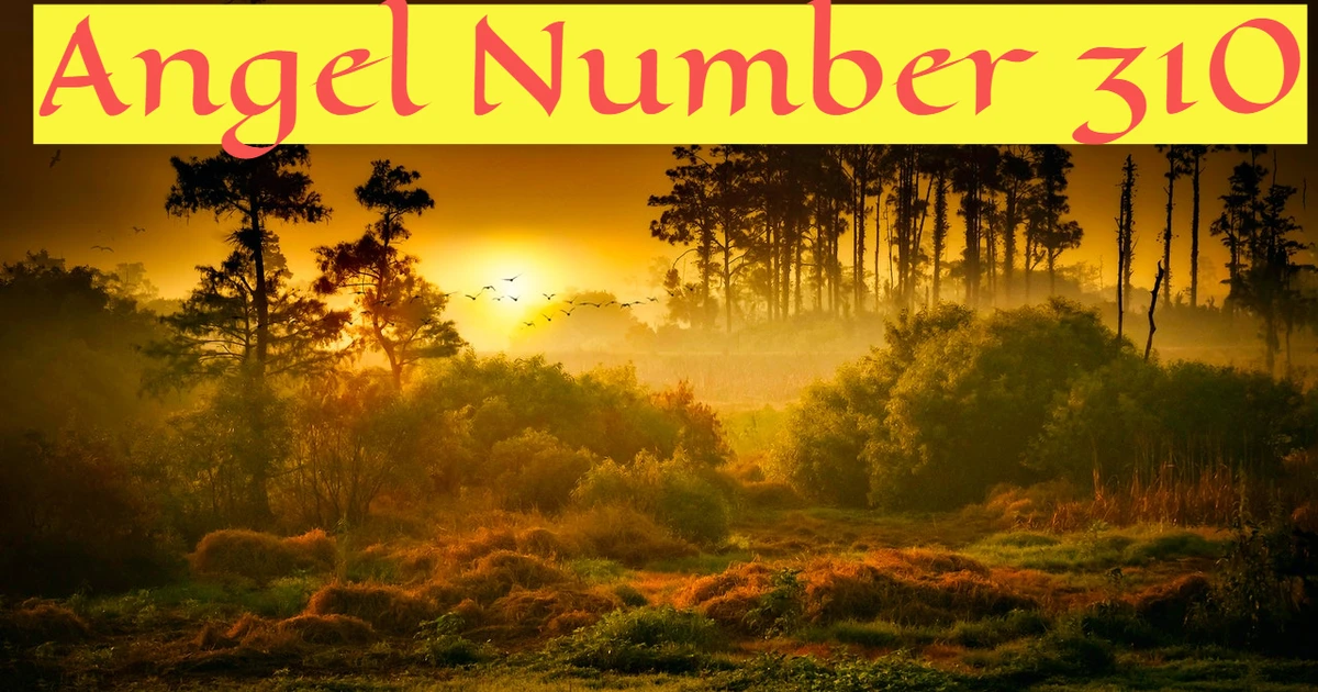 How Can Angel Number 310 Guide You In Life's Decisions?