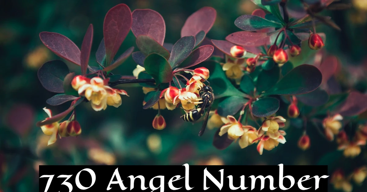 How Does The 730 Angel Number Impact Your Journey?