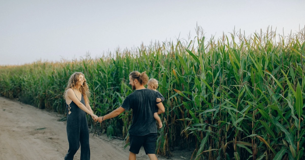 Is The 4 And 8 Life Path Compatibility A Cosmic Connection?