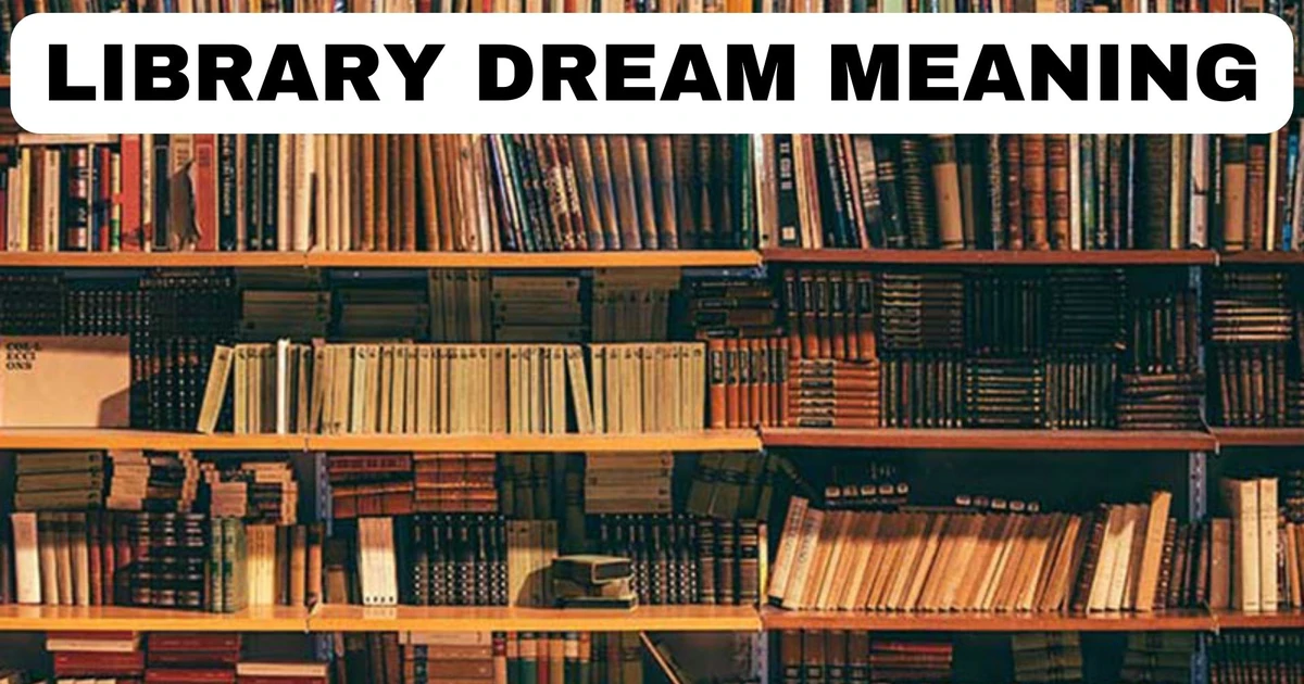 How Can You Interpret The Intricate Layers Of The Library Dream Meaning?