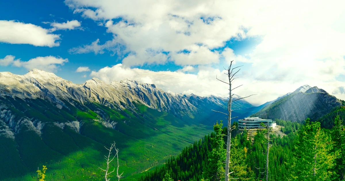 What Importance Does 1145 Angel Number Carry In Your Life's Journey?