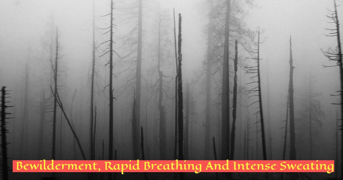 Are Dreams Of Passing Out A Sign Of Hidden Stress?