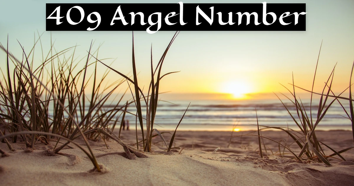 How Does The 409 Angel Number Impact Your Relationships And Connections?