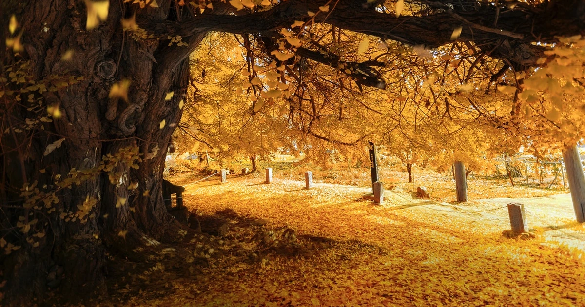 What Does The 131 Angel Number Signify In Numerology?