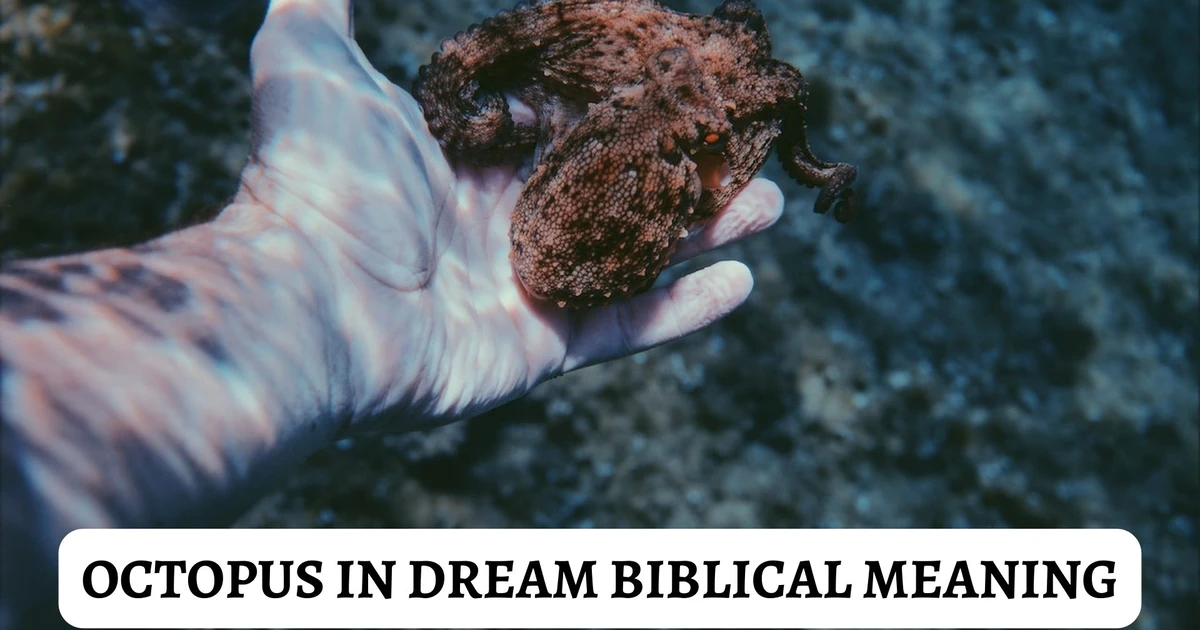 What Does Octopus In Dream Biblical Meaning Portend In Scriptural ...