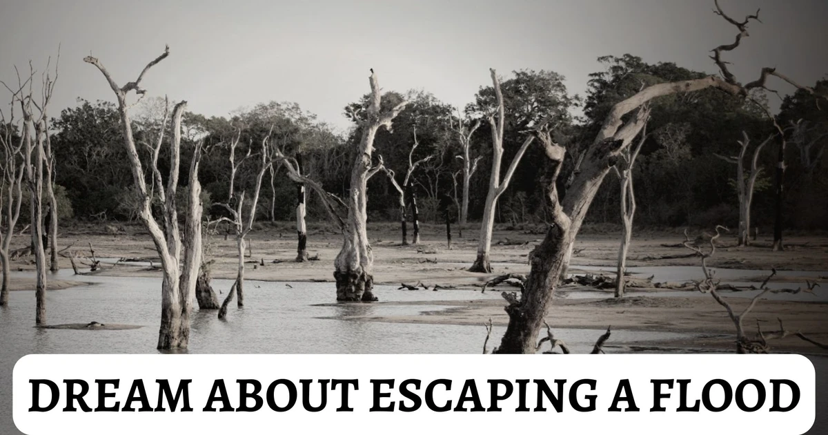What Does It Mean To Dream About Escaping A Flood?