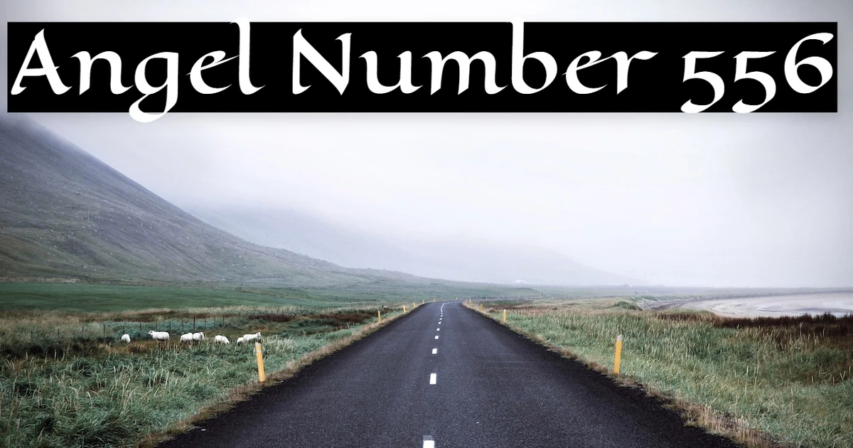 How Can Angel Number 556 Influence Your Path?