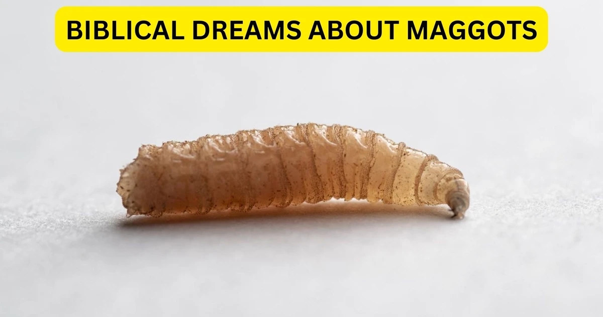 Are There Symbolic Meanings In Biblical Dreams About Maggots?