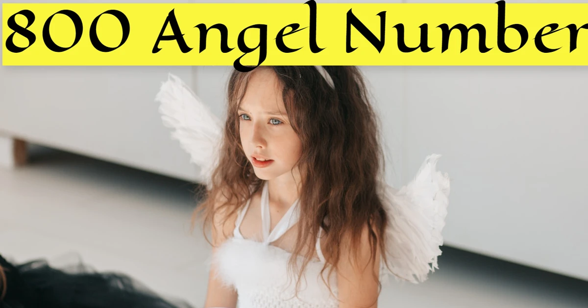 How Does The 800 Angel Number Impact Your Life?
