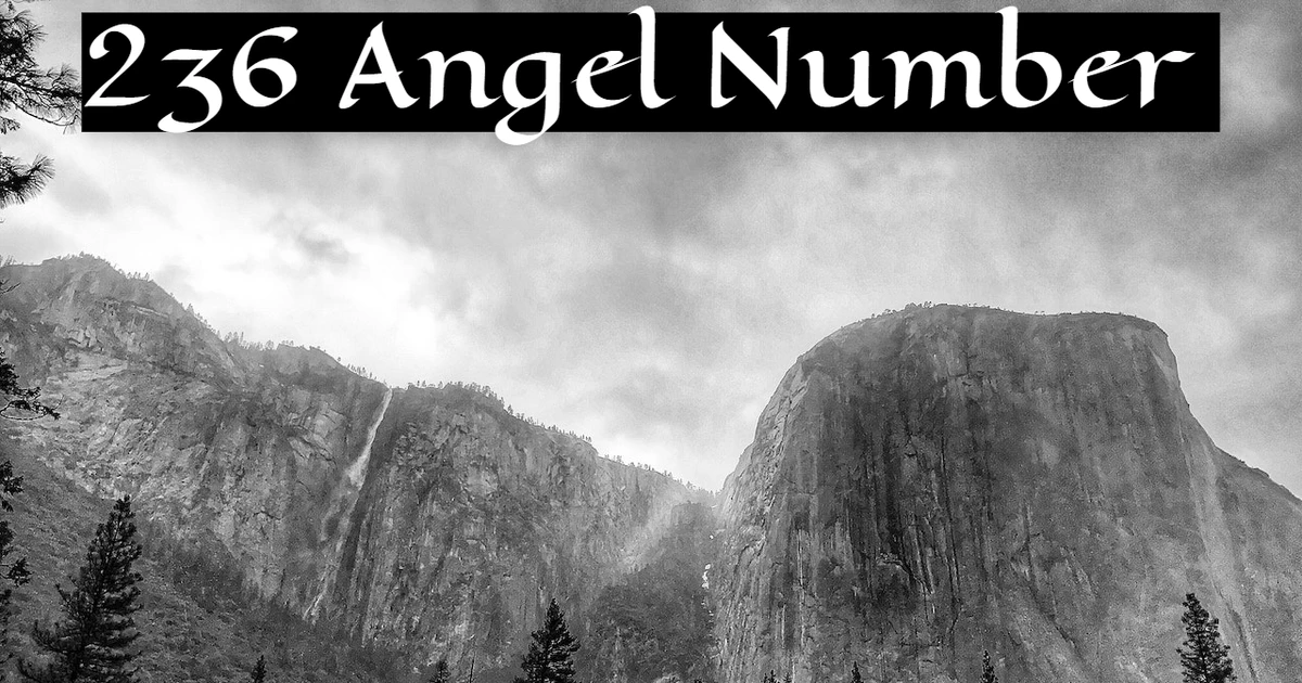 How Can The 236 Angel Number Guide You Towards Spiritual Awakening?