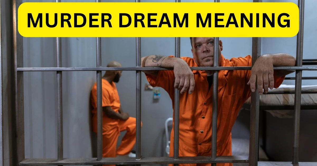 How Does The Murder Dream Meaning Reflect Your Inner Psyche?
