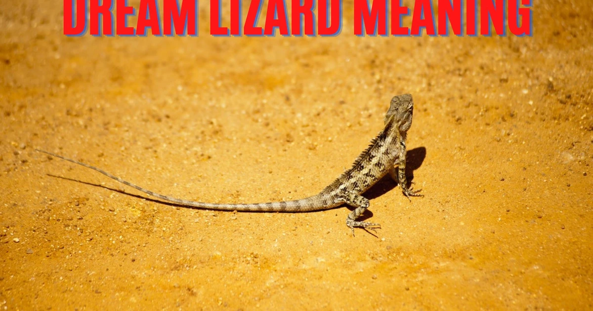What Is The Dream Lizard Meaning And Its Significance?